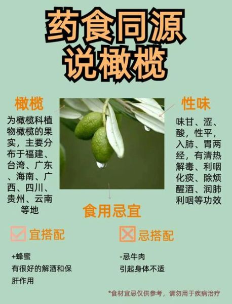 青橄榄的功效与作用及禁忌_青橄榄怎么吃最好-第3张图片-山城妙识 青橄榄的功效与作用及禁忌_青橄榄怎么吃最好-第3张图片-山城妙识