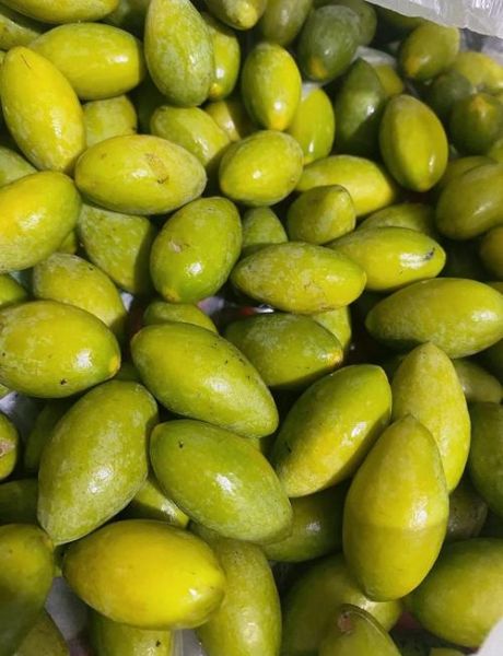 青橄榄的功效与作用及禁忌_青橄榄怎么吃最好-第2张图片-山城妙识 青橄榄的功效与作用及禁忌_青橄榄怎么吃最好-第2张图片-山城妙识