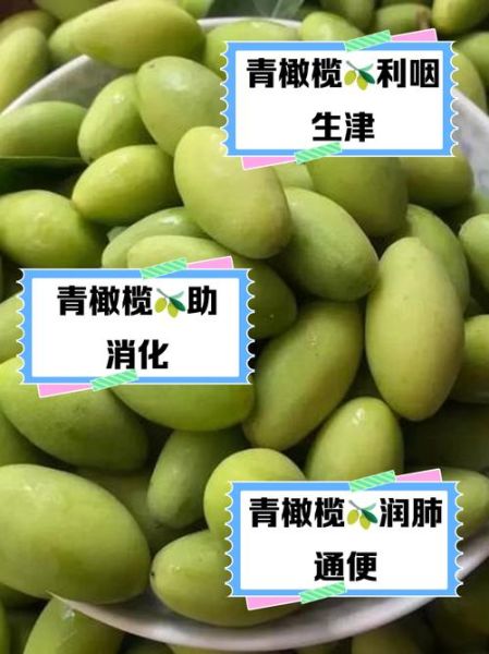 青橄榄的功效与作用及禁忌_青橄榄怎么吃最好-第1张图片-山城妙识 青橄榄的功效与作用及禁忌_青橄榄怎么吃最好-第1张图片-山城妙识