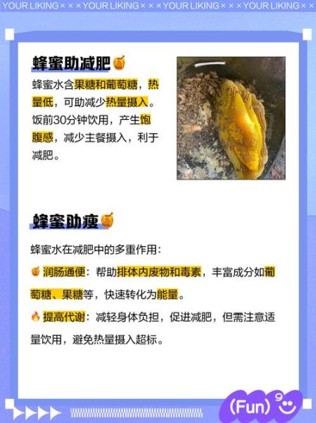 蜂蜜水什么时候喝减肥_怎么喝蜂蜜水减肥有效-第1张图片-山城妙识 蜂蜜水什么时候喝减肥_怎么喝蜂蜜水减肥有效-第1张图片-山城妙识