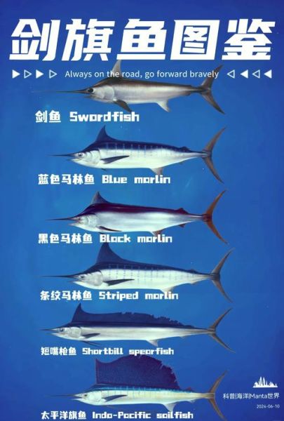 剑鱼有几种_剑鱼品种分类及区别-第1张图片-山城妙识