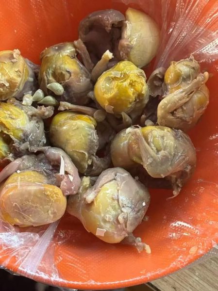 毛鸡蛋怎么做最好吃_毛鸡蛋最正宗做法-第2张图片-山城妙识