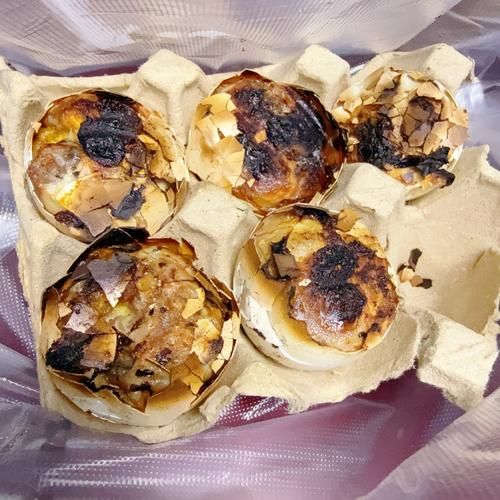 毛鸡蛋怎么做最好吃_毛鸡蛋最正宗做法-第1张图片-山城妙识