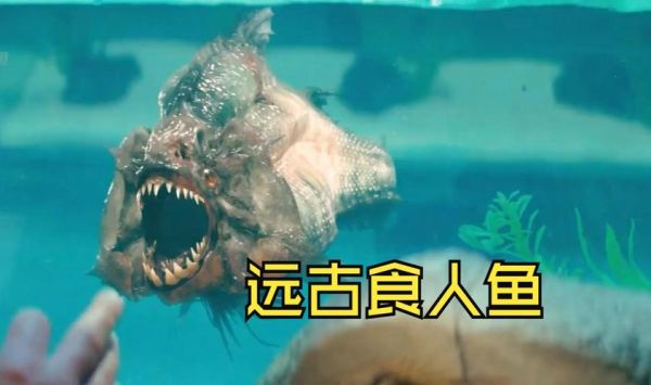 食人鱼电影恐怖吗_食人鱼电影适合孩子看吗-第2张图片-山城妙识