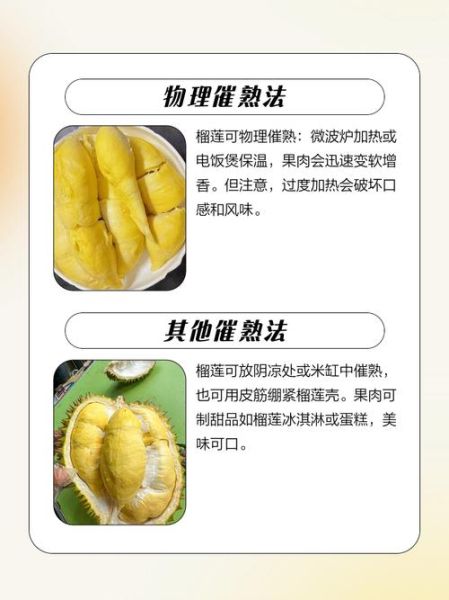 不熟榴莲肉怎么放熟_榴莲肉不熟怎么办-第3张图片-山城妙识 不熟榴莲肉怎么放熟_榴莲肉不熟怎么办-第3张图片-山城妙识