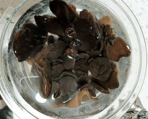 木耳不焯水直接炒能吃吗_木耳直接炒会不会中毒-第3张图片-山城妙识