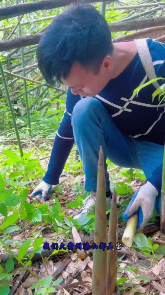 桂林酸笋怎么腌制_桂林酸笋腌制多久可以吃-第1张图片-山城妙识 桂林酸笋怎么腌制_桂林酸笋腌制多久可以吃-第1张图片-山城妙识