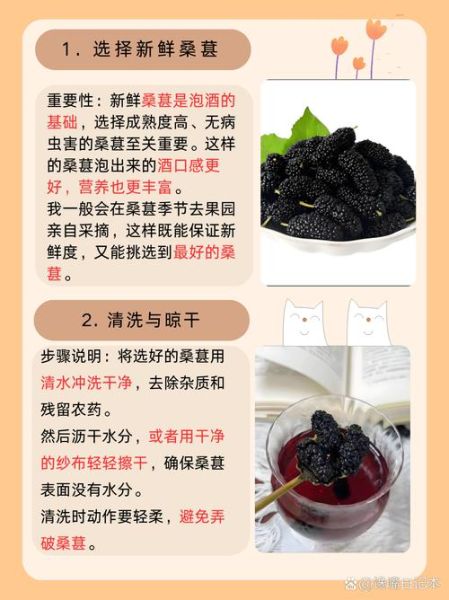 怎样泡桑葚酒最好_桑葚酒用什么酒泡最香-第1张图片-山城妙识 怎样泡桑葚酒最好_桑葚酒用什么酒泡最香-第1张图片-山城妙识