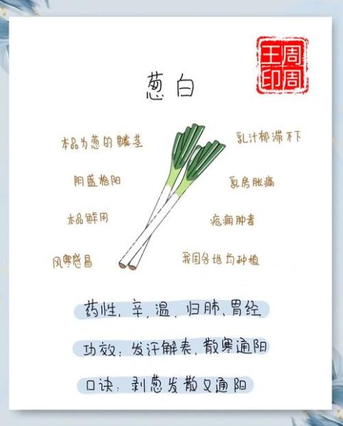 大葱花怎么吃_大葱花和大葱区别-第3张图片-山城妙识