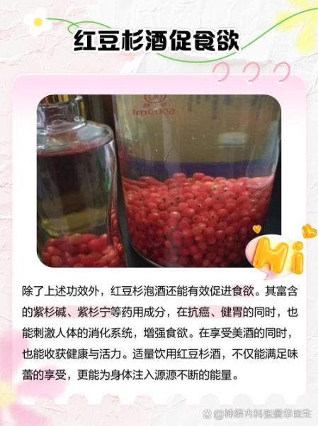 红豆杉泡酒的制作方法_红豆杉泡酒有什么功效-第2张图片-山城妙识