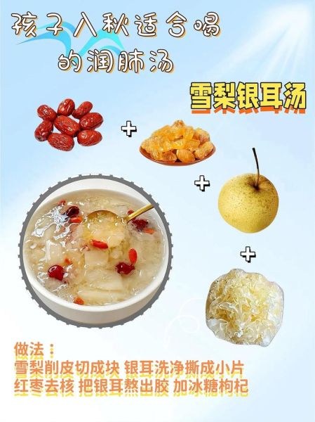 润肺汤的做法_润肺汤适合哪些人喝-第3张图片-山城妙识