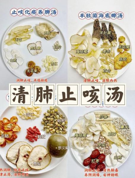 润肺汤的做法_润肺汤适合哪些人喝-第1张图片-山城妙识