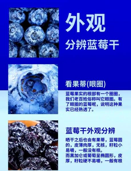 蓝莓干怎么做_蓝莓干制作常见问题-第1张图片-山城妙识 蓝莓干怎么做_蓝莓干制作常见问题-第1张图片-山城妙识