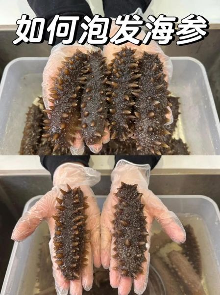 生海参怎么泡发_家常海参做法大全-第2张图片-山城妙识