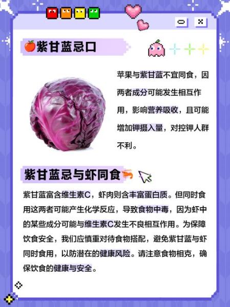 紫甘蓝不能和什么一起吃_紫甘蓝禁忌人群有哪些-第2张图片-山城妙识 紫甘蓝不能和什么一起吃_紫甘蓝禁忌人群有哪些-第2张图片-山城妙识