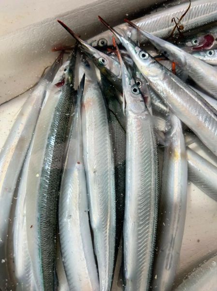 马步鱼怎么做好吃_马步鱼的做法大全-第2张图片-山城妙识 马步鱼怎么做好吃_马步鱼的做法大全-第2张图片-山城妙识