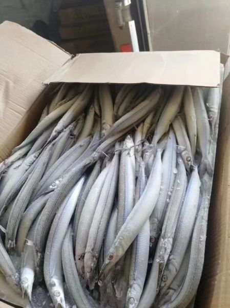 马步鱼怎么做好吃_马步鱼的做法大全-第3张图片-山城妙识 马步鱼怎么做好吃_马步鱼的做法大全-第3张图片-山城妙识