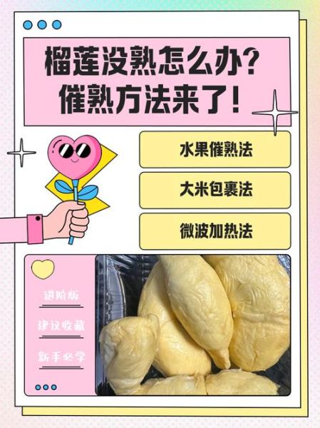 榴莲开了一半发现没熟怎么办_如何补救-第2张图片-山城妙识 榴莲开了一半发现没熟怎么办_如何补救-第2张图片-山城妙识