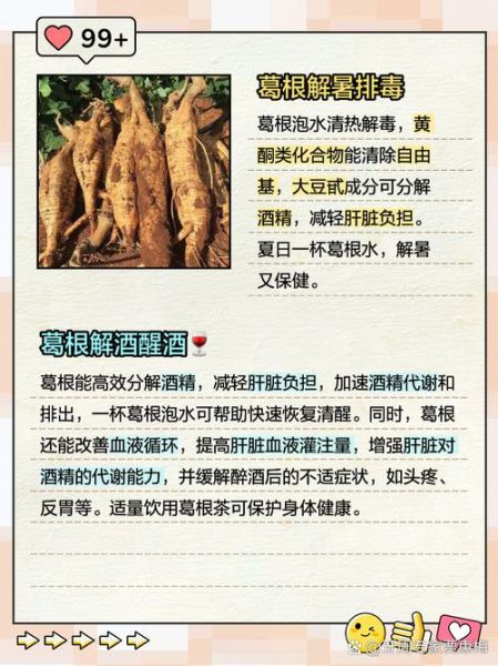 葛根的功效与作用及禁忌_葛根泡水喝的正确方法-第1张图片-山城妙识