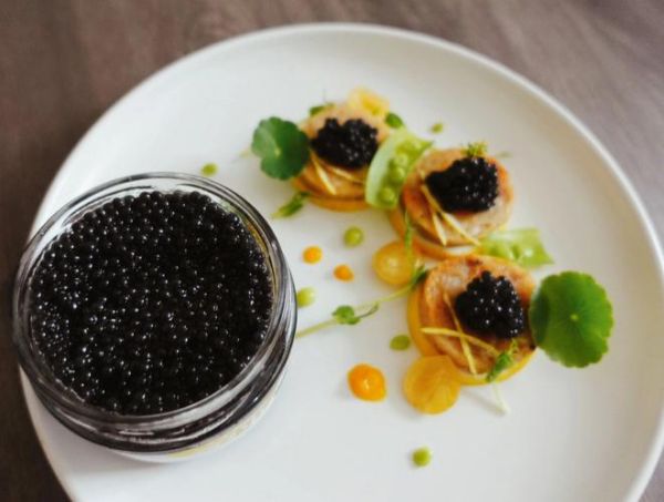 东北鱼子酱怎么做_正宗东北鱼子酱腌制方法-第1张图片-山城妙识 东北鱼子酱怎么做_正宗东北鱼子酱腌制方法-第1张图片-山城妙识