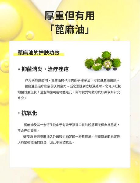 蓖麻油怎么喝_蓖麻油空腹还是饭后-第1张图片-山城妙识 蓖麻油怎么喝_蓖麻油空腹还是饭后-第1张图片-山城妙识