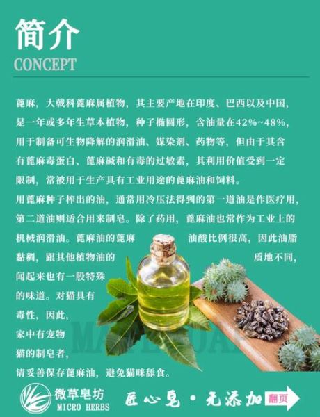 蓖麻油怎么喝_蓖麻油空腹还是饭后-第2张图片-山城妙识 蓖麻油怎么喝_蓖麻油空腹还是饭后-第2张图片-山城妙识