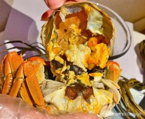 大闸蟹怎么清理内脏_大闸蟹内脏清理视频教程-第2张图片-山城妙识 大闸蟹怎么清理内脏_大闸蟹内脏清理视频教程-第2张图片-山城妙识