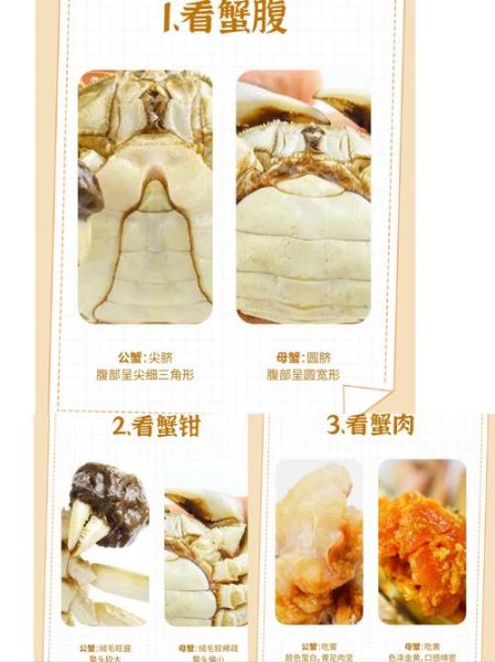 大闸蟹怎么清理内脏_大闸蟹内脏清理视频教程-第3张图片-山城妙识 大闸蟹怎么清理内脏_大闸蟹内脏清理视频教程-第3张图片-山城妙识