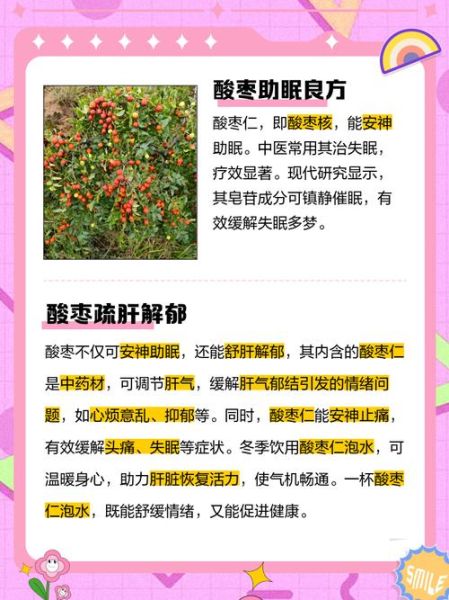 酸枣的营养价值_酸枣的功效与作用有哪些-第2张图片-山城妙识 酸枣的营养价值_酸枣的功效与作用有哪些-第2张图片-山城妙识