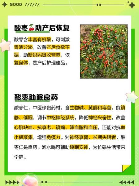 酸枣的营养价值_酸枣的功效与作用有哪些-第3张图片-山城妙识 酸枣的营养价值_酸枣的功效与作用有哪些-第3张图片-山城妙识