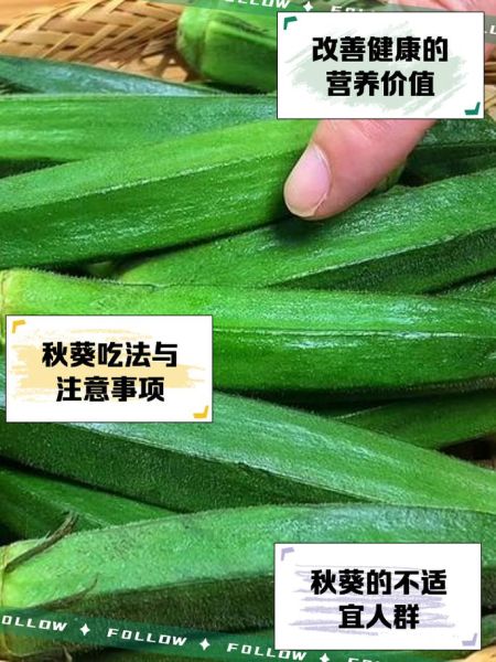 秋葵的功效与作用_秋葵怎么做好吃-第1张图片-山城妙识