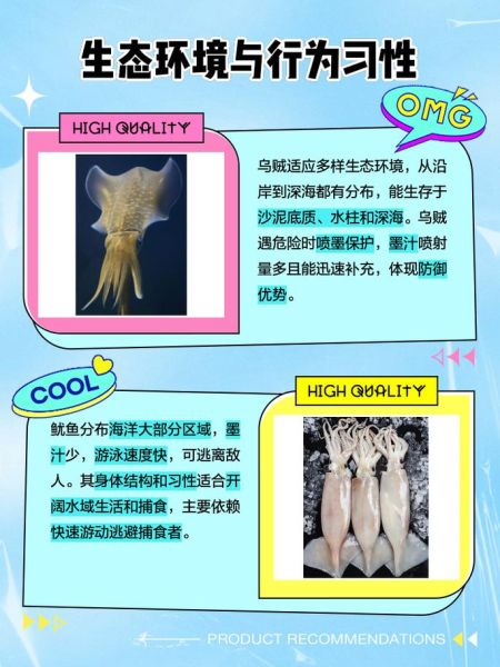 枪乌贼和鱿鱼的区别_哪个更好吃-第1张图片-山城妙识