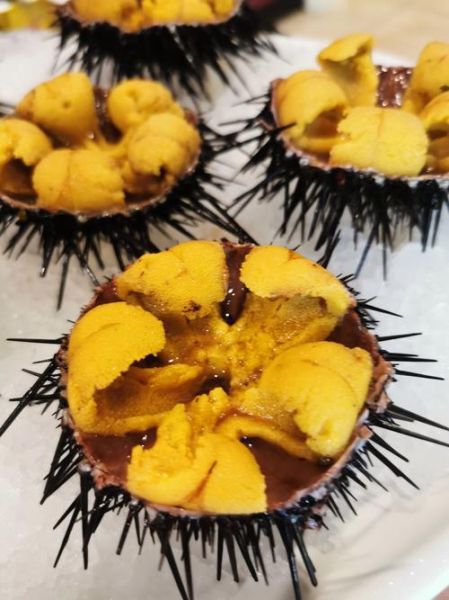 海胆怎么吃好吃_海胆刺身怎么选-第2张图片-山城妙识 海胆怎么吃好吃_海胆刺身怎么选-第2张图片-山城妙识