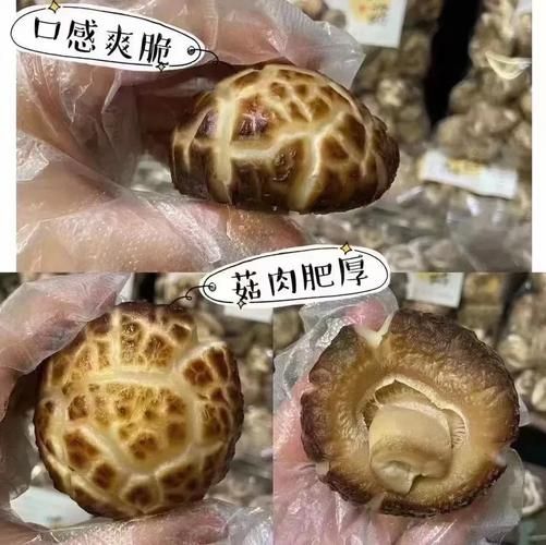 大花菇的功效与作用_大花菇怎么吃最营养-第1张图片-山城妙识 大花菇的功效与作用_大花菇怎么吃最营养-第1张图片-山城妙识