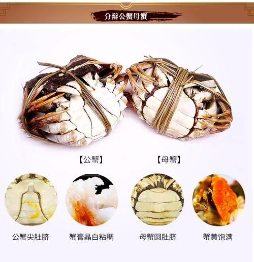 蟹膏蟹黄是什么部位_蟹黄和蟹膏的区别-第3张图片-山城妙识