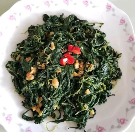 麻叶菜是什么_麻叶菜怎么做好吃-第1张图片-山城妙识 麻叶菜是什么_麻叶菜怎么做好吃-第1张图片-山城妙识