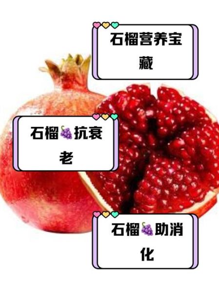 石榴子的好处有哪些_石榴子怎么吃最营养-第2张图片-山城妙识