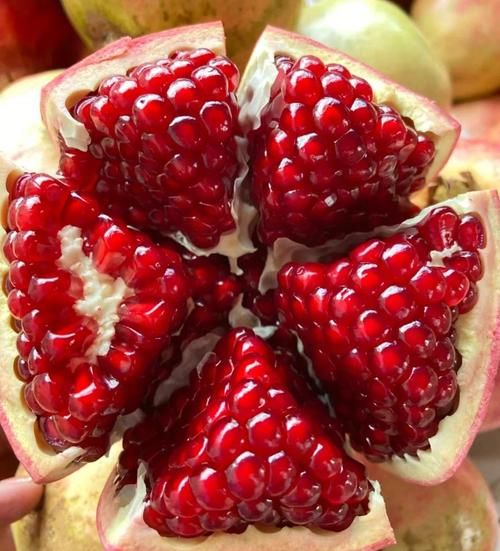 石榴子的好处有哪些_石榴子怎么吃最营养-第3张图片-山城妙识