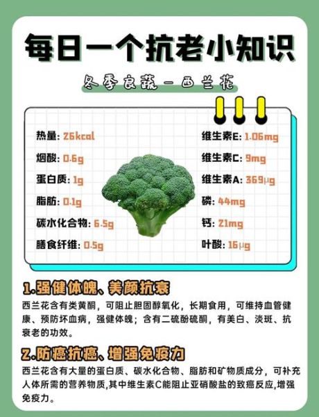 西兰花的功效与作用及禁忌_哪些人不能吃-第1张图片-山城妙识 西兰花的功效与作用及禁忌_哪些人不能吃-第1张图片-山城妙识