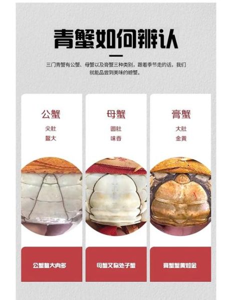 三门青蟹死了多久不能吃_如何判断是否变质-第1张图片-山城妙识 三门青蟹死了多久不能吃_如何判断是否变质-第1张图片-山城妙识