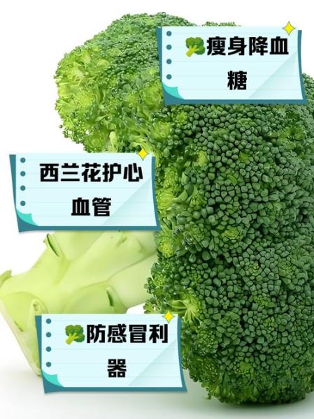 西兰花的功效与作用及禁忌_哪些人不能吃-第2张图片-山城妙识 西兰花的功效与作用及禁忌_哪些人不能吃-第2张图片-山城妙识