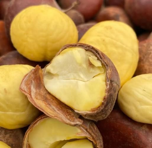 云南板栗头好吃吗_云南板栗头多少钱一斤-第1张图片-山城妙识 云南板栗头好吃吗_云南板栗头多少钱一斤-第1张图片-山城妙识