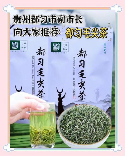 毛尖茶哪些人不能喝_毛尖茶禁忌人群-第3张图片-山城妙识 毛尖茶哪些人不能喝_毛尖茶禁忌人群-第3张图片-山城妙识