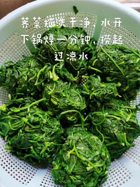 荠菜饺子馅怎么调才好吃_荠菜饺子馅调制的秘诀-第2张图片-山城妙识 荠菜饺子馅怎么调才好吃_荠菜饺子馅调制的秘诀-第2张图片-山城妙识