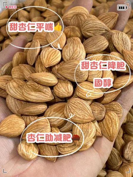 甜杏仁的功效与作用_甜杏仁怎么吃最好-第1张图片-山城妙识