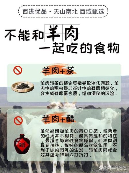 吃羊肉忌什么食物相克_羊肉不能和什么一起吃-第1张图片-山城妙识 吃羊肉忌什么食物相克_羊肉不能和什么一起吃-第1张图片-山城妙识