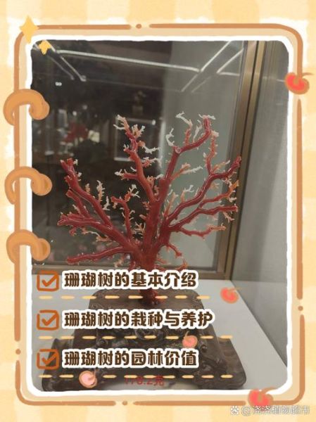 珊瑚树怎么养_珊瑚树有毒吗-第2张图片-山城妙识 珊瑚树怎么养_珊瑚树有毒吗-第2张图片-山城妙识