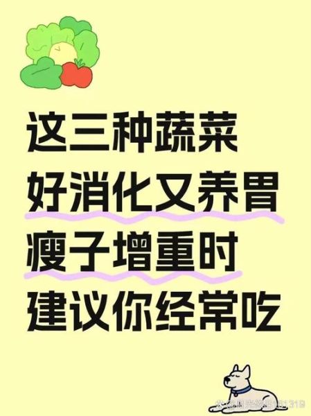 易消化食物有哪些_肠胃不好吃什么菜好-第2张图片-山城妙识 易消化食物有哪些_肠胃不好吃什么菜好-第2张图片-山城妙识