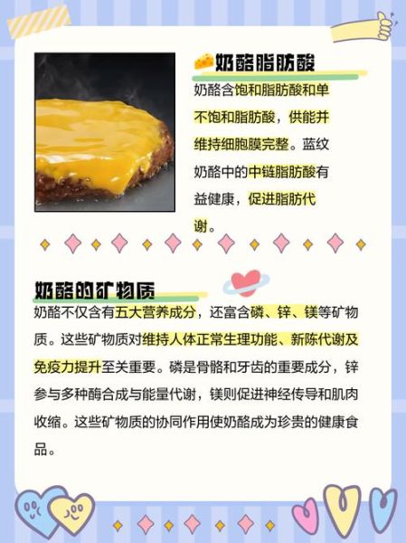 奶酪的营养价值及功效_奶酪补钙效果好吗-第3张图片-山城妙识 奶酪的营养价值及功效_奶酪补钙效果好吗-第3张图片-山城妙识