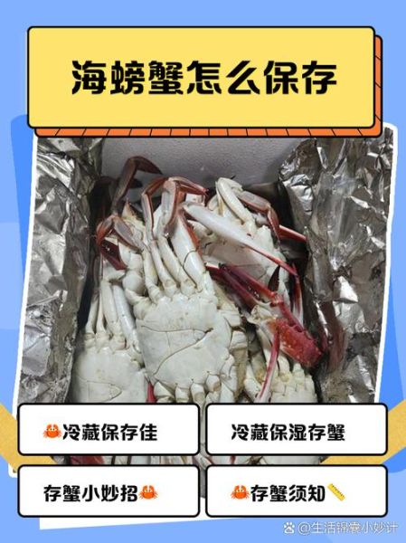 螃蟹怎么保存能活几天_活螃蟹冷藏还是冷冻-第3张图片-山城妙识 螃蟹怎么保存能活几天_活螃蟹冷藏还是冷冻-第3张图片-山城妙识